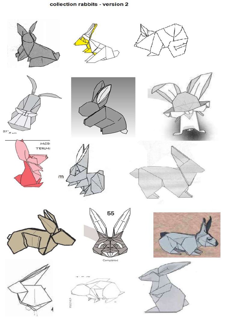 Collection Rabbits Version 2 | PDF | Rabbits And Hares | Lagomorphs