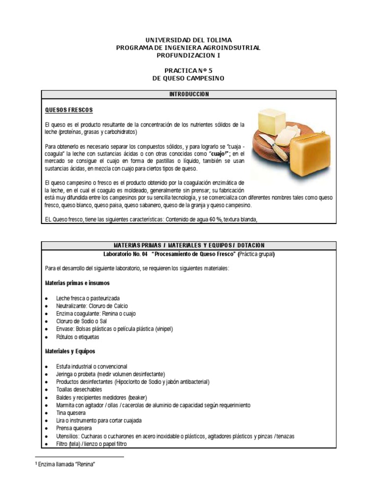 Practica de Queso Campesino | PDF | Queso | Leche