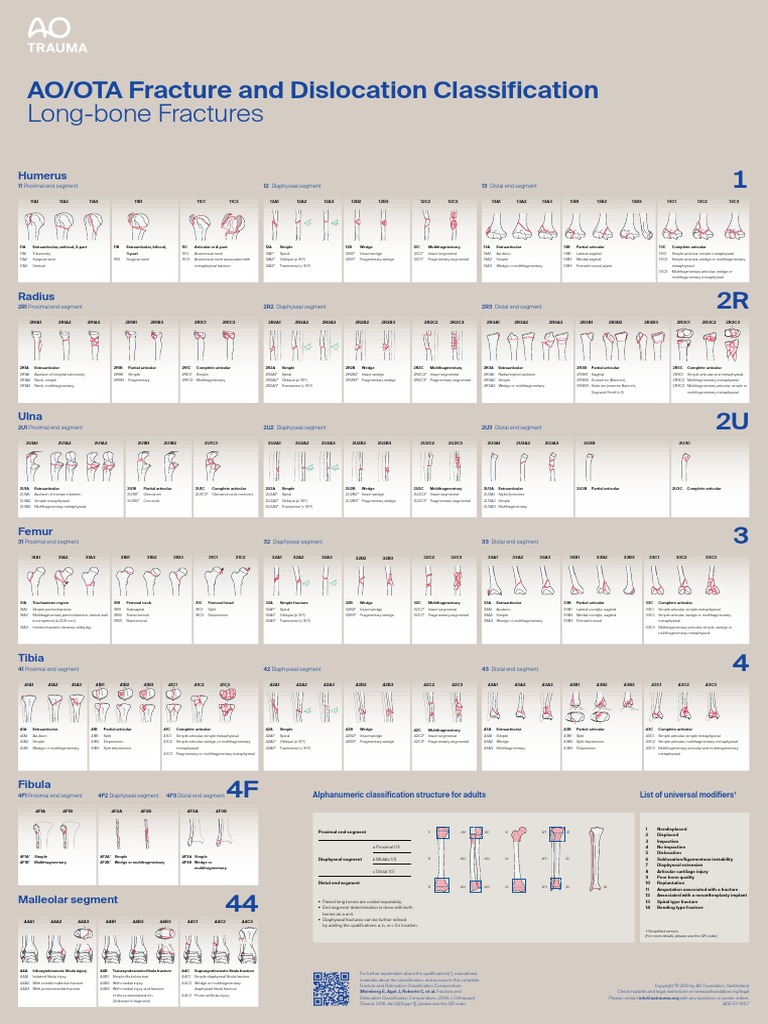 AOOTA Classification 2018 Poster 2107071002 | PDF | Skeletal System ...