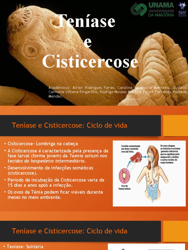 Teníase e Cisticercose: Ciclo de vida, sinais, transmissão e prevenção ...