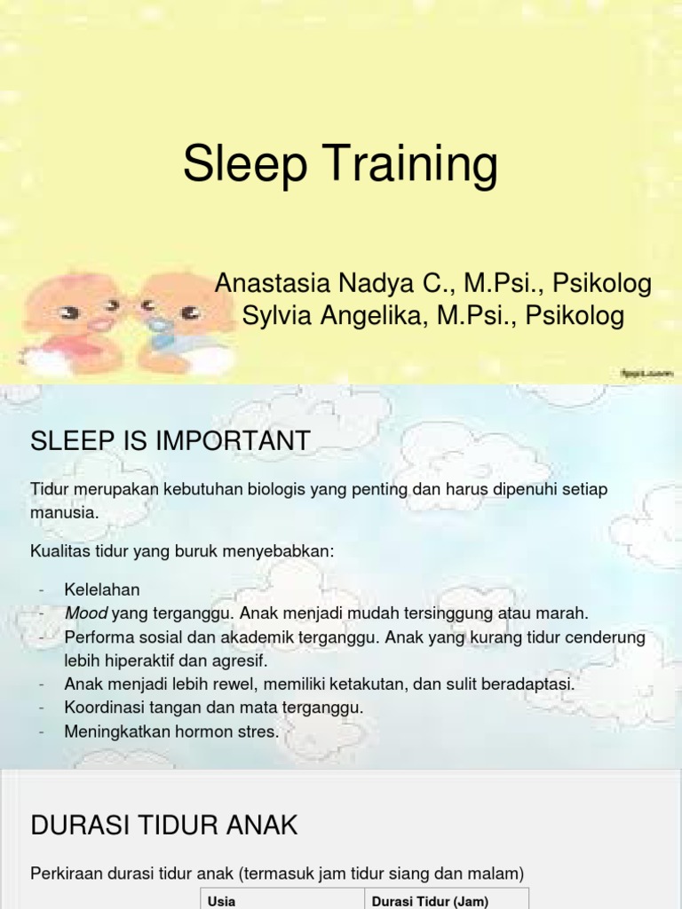 Sleep Training Seminar | PDF