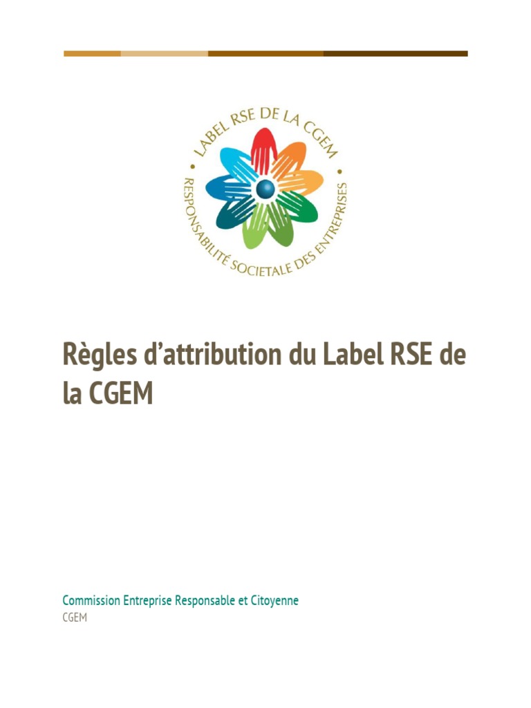 Règles D'attribution Du Label RSE de La Cgem: Commission Entreprise Responsable Et Citoyenne ...