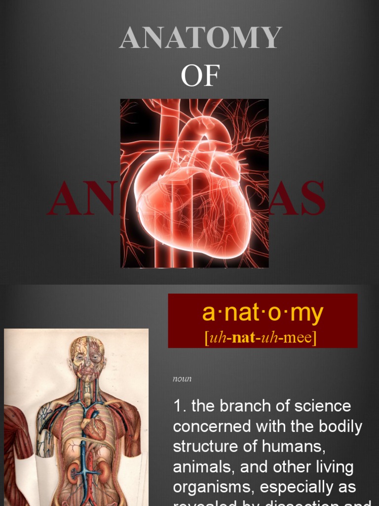 Anatomy of Anarthas in Devotion | PDF | Love | Patanjali