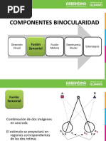 Ortoforia, Endoforia, Exoforia | PDF | Visión | Oftalmología