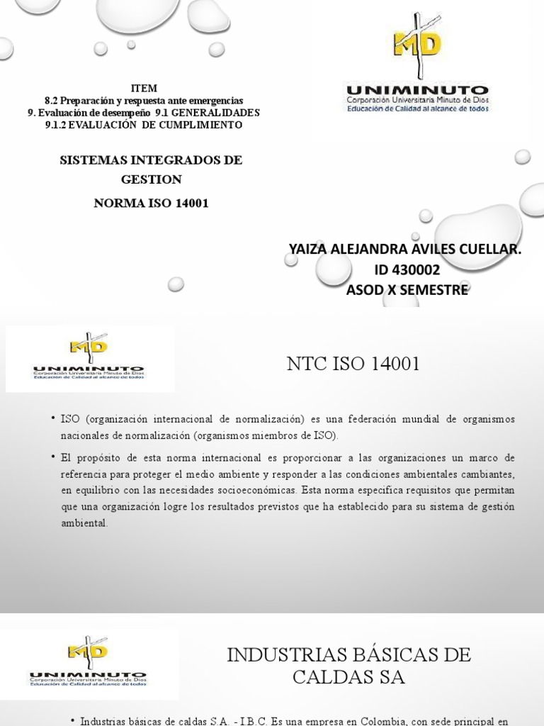 2da Exposición YAIZA ALEJANDRA AVILES CUELLAR | PDF | Economias