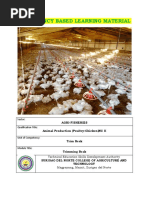 Lesson Plan in Animal Production | PDF | Chicken | Learning