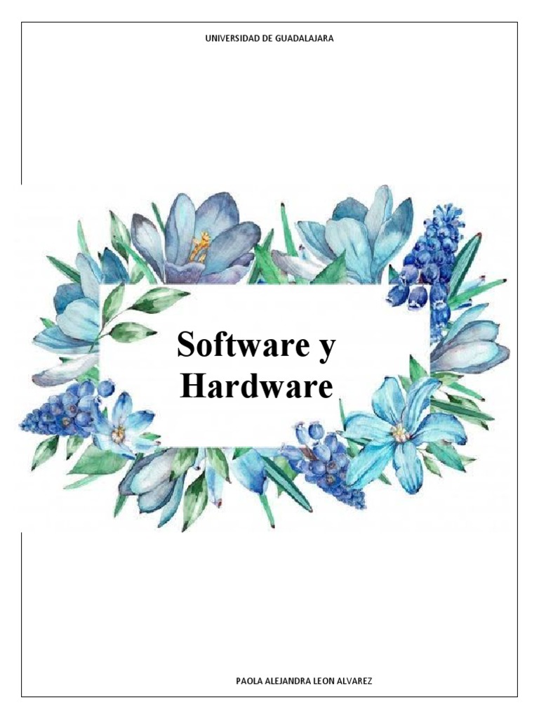 Cuadro Comparativo - Software y Hardware | PDF | Unix | Informática