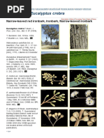 Cbse Class 12 Sexual Reproduction in Flowering Plants Mind Map | PDF ...