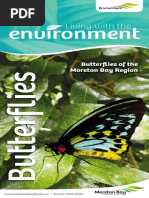 Classroom Butterfly Camouflage Activity | PDF | Camouflage | Mimicry