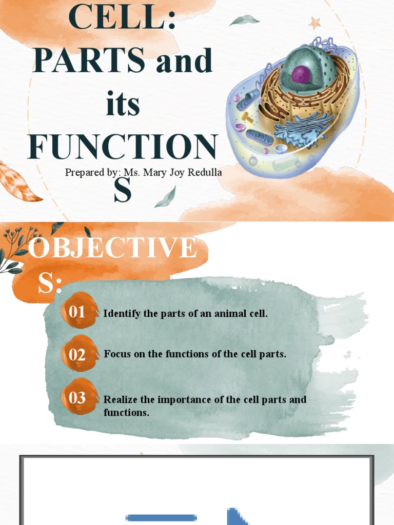 Parts of The Cell and Functions | PDF | Endoplasmic Reticulum | Cell ...