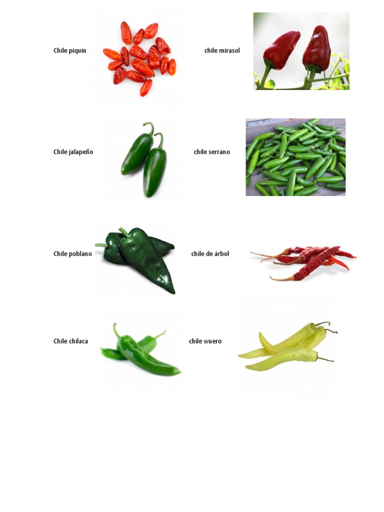 Chiles | PDF