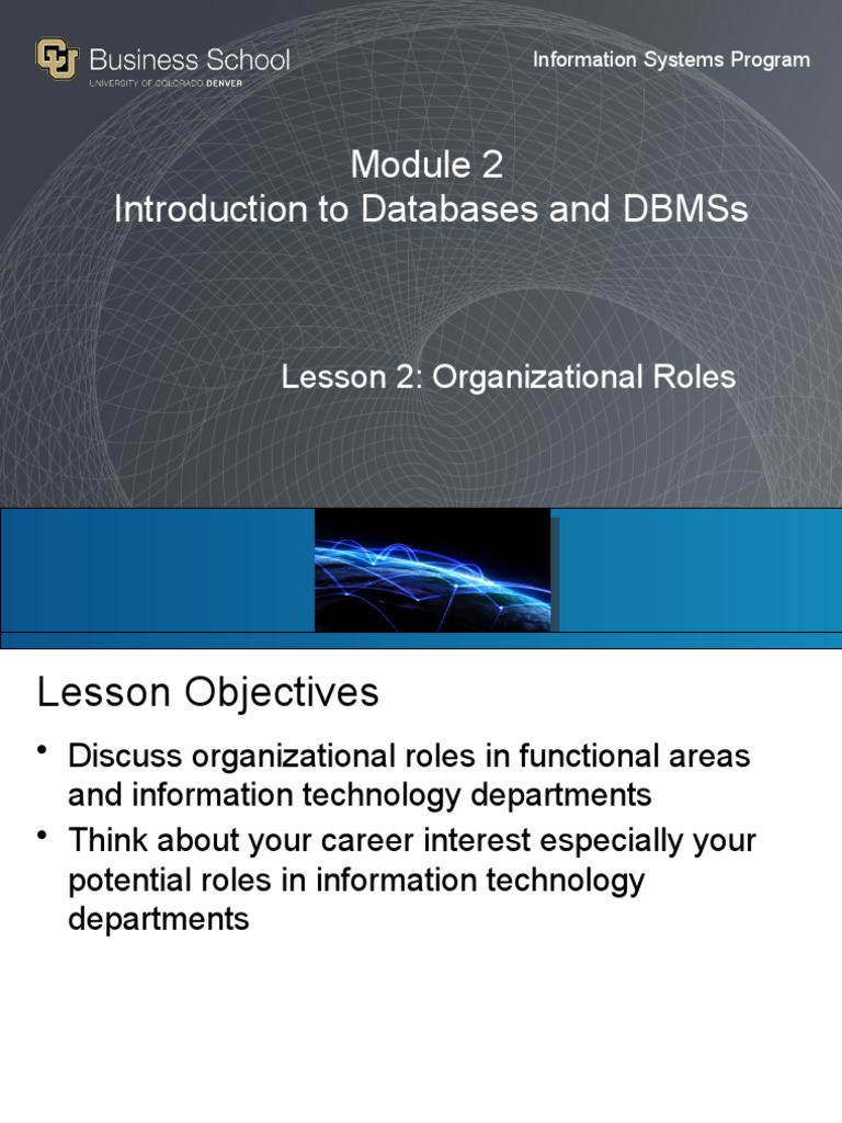 Course 1 Module 02 Lesson 2 | PDF | Databases | Data