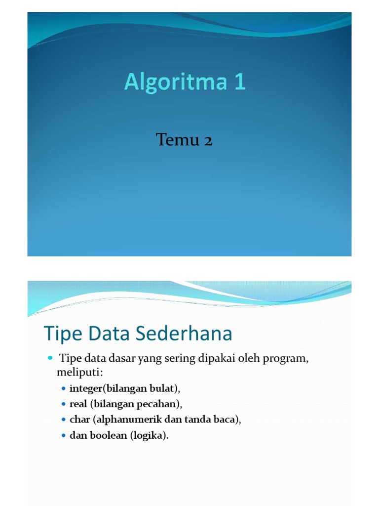 Tipe Data Dasar dalam Pemrograman | PDF