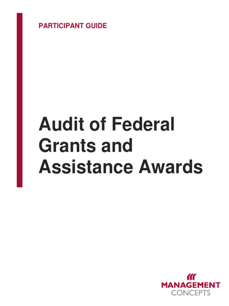 Audit of Federal Grants and Assistance Awards | PDF | Audit ...