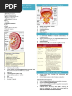 Mnemonics - STI - Color Coded Kits by DR Naveen Koval | PDF ...