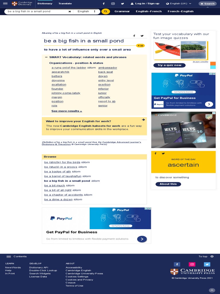 BE A BIG FISH IN A SMALL POND Meaning in The Cambridge English ...