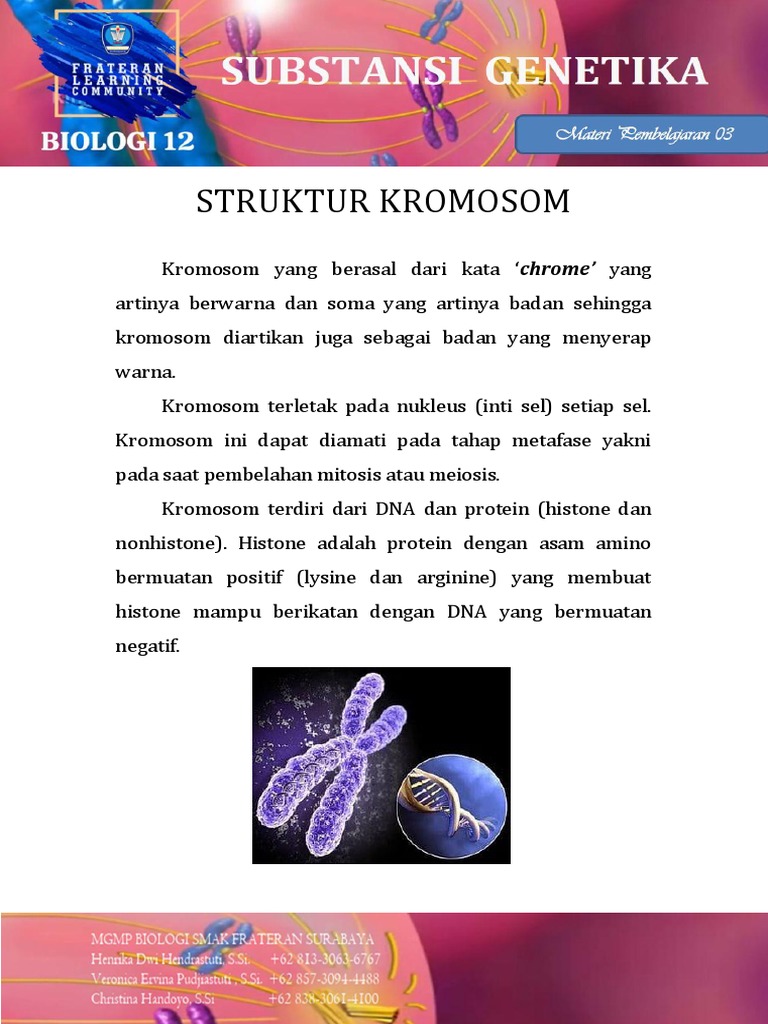 Struktur dan Bagian Kromosom | PDF
