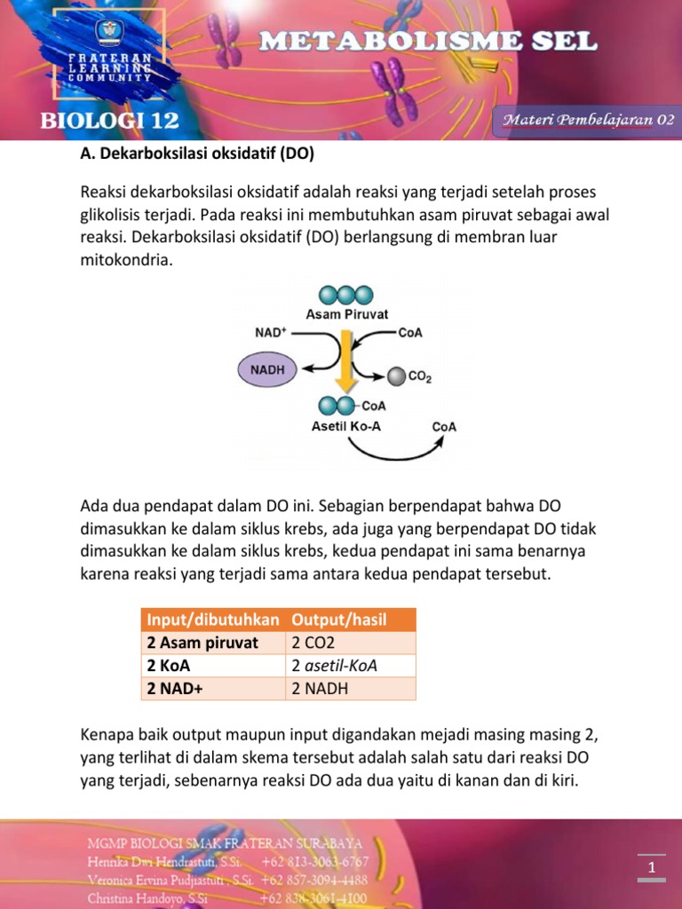 27 FLC DO Dan Krebs | PDF