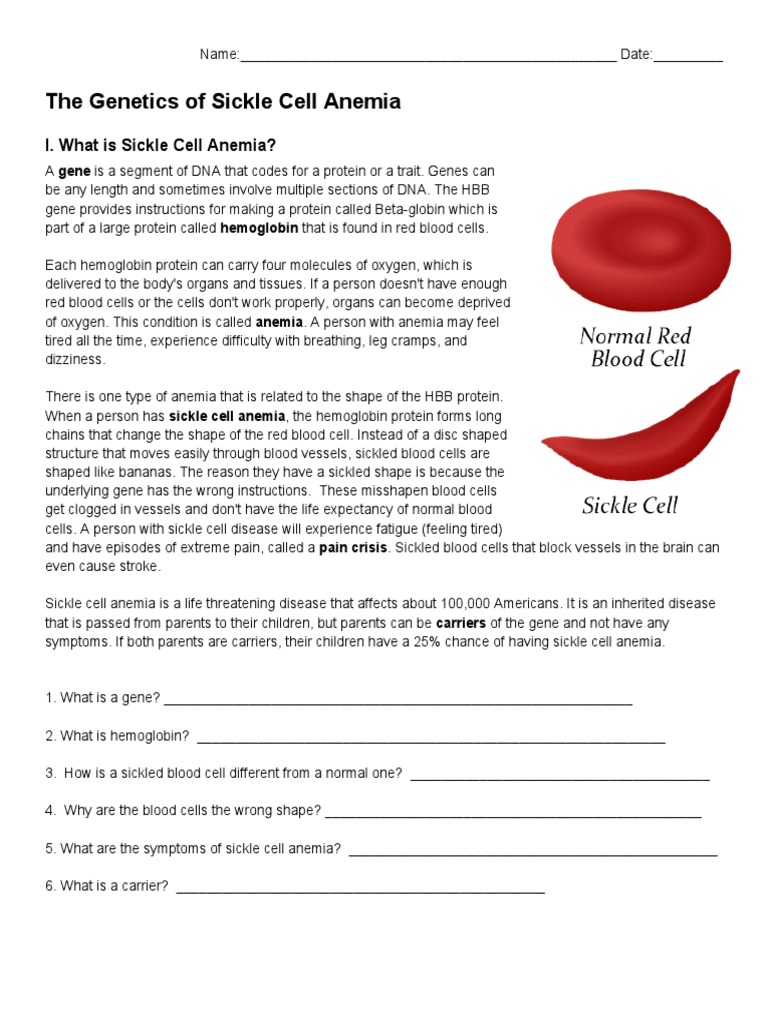 Genetics of Sickle Cell Anemia Explained | PDF | Nucleic Acid Sequence ...
