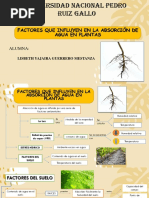 Raiz Axonomorfa | PDF | Raíz | Tallo de la planta