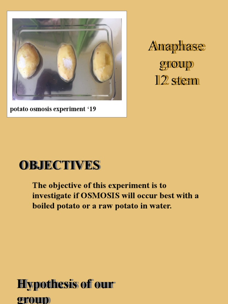 Bio Osmosis Pdf Osmosis Chemistry