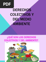 Collage Derecho | PDF