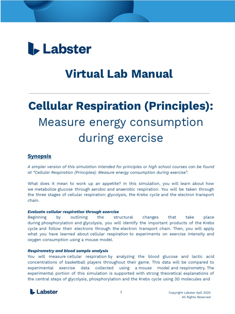 CRH Cellular Respiration (Principles) - Measure Energy Consumption During Exercise Lab Manual ...