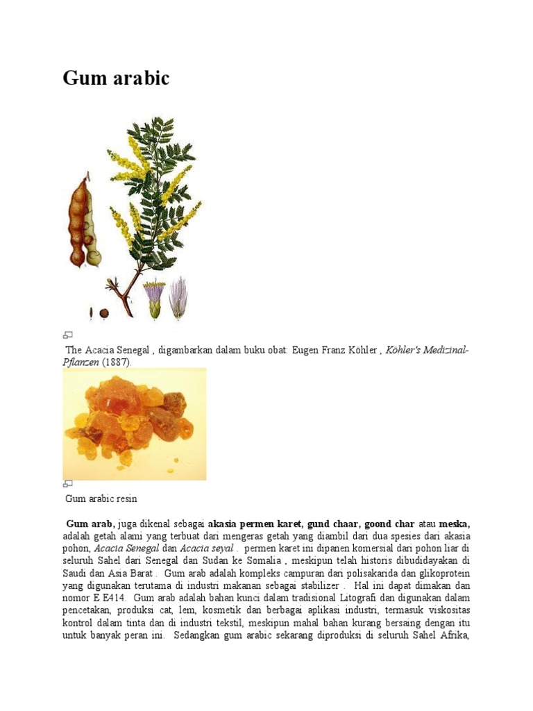 Manfaat dan Penggunaan Gum Arabic | PDF | Memasak, Makanan, & Anggur