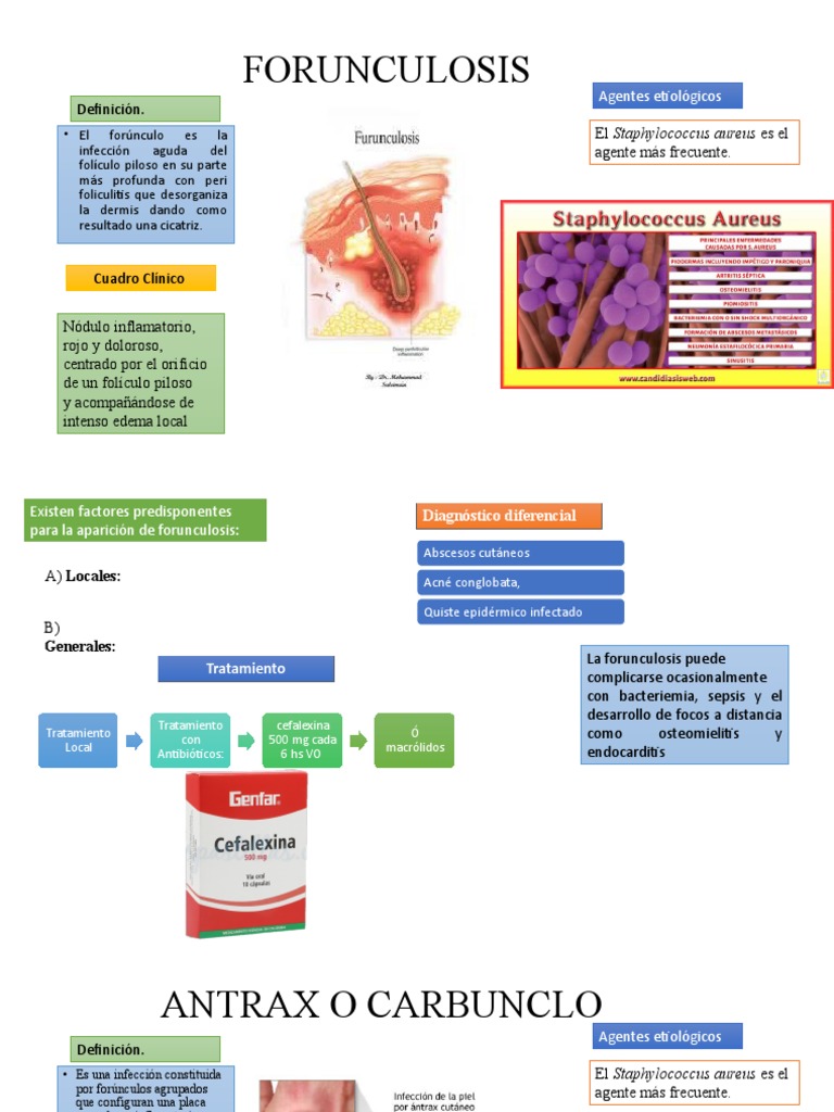 FORUNCULOSIS | PDF | Staphylococcus Aureus | Inmunología