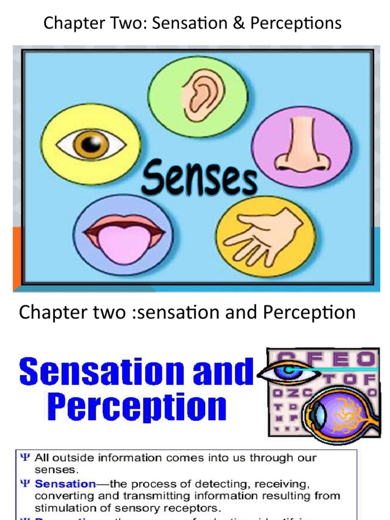 Chapter Two: Sensation & Perceptions | PDF | Reinforcement | Perception