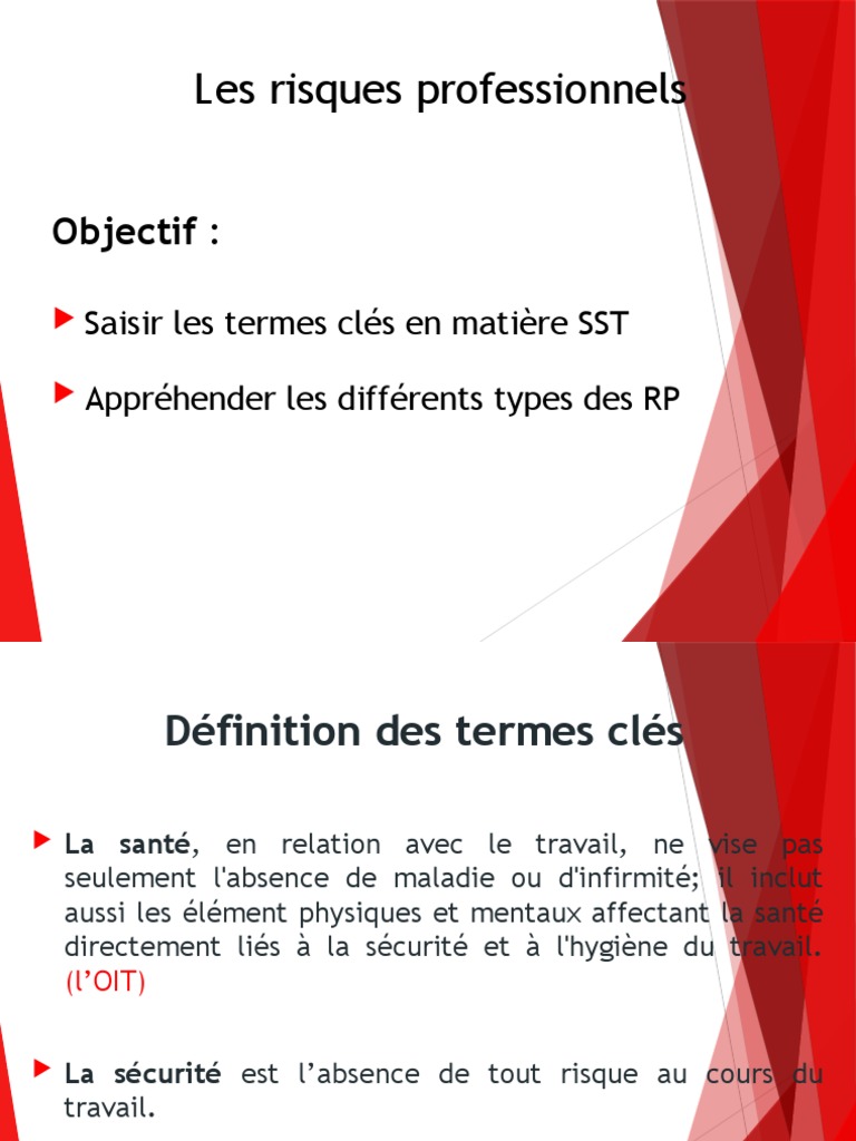 Les Risques Professionnels | PDF | Risque | Bruit