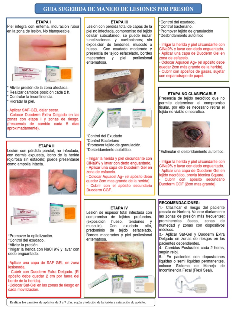 1-Guia de Manejo de LPP | PDF | Piel | Anatomía