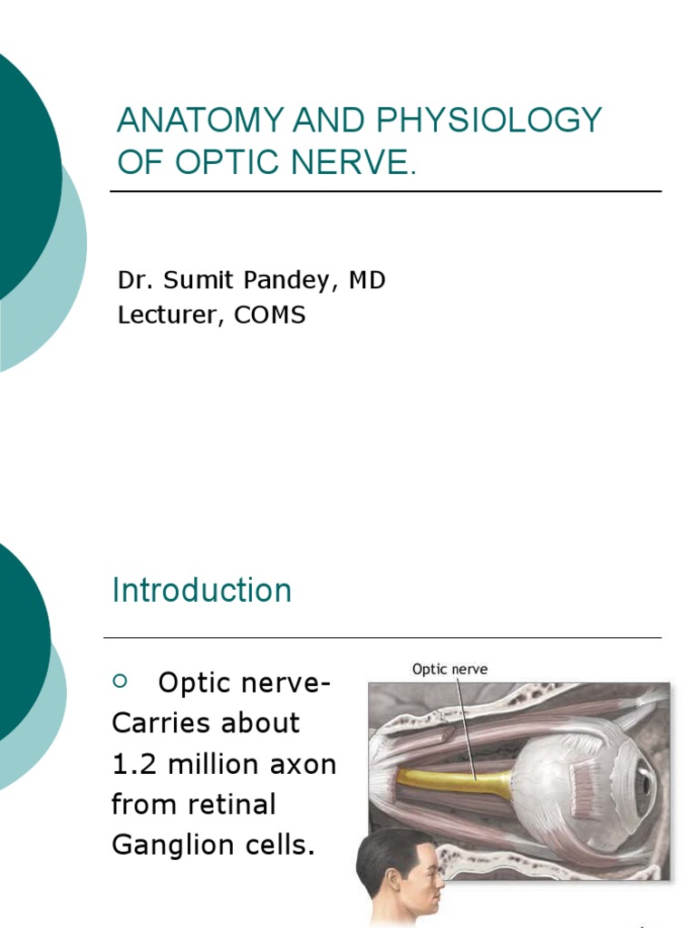 Anatomy and Physiology of Optic Nerve.: Dr. Sumit Pandey, MD Lecturer ...