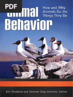 Octopus Scientists Discussion and Activity Guide | PDF | Graphics ...