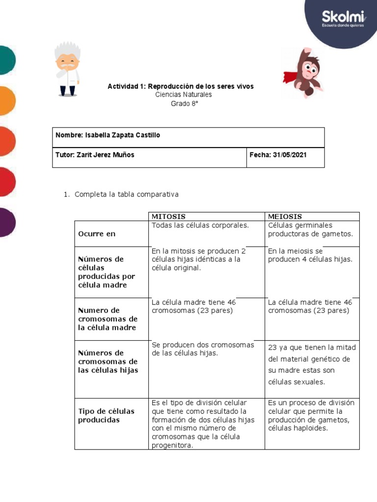 Taller Semana1. Reproducción de Los Seres Vivos | PDF | Mitosis | Mitosis