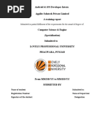 Action Plan (Neap PDP) | PDF