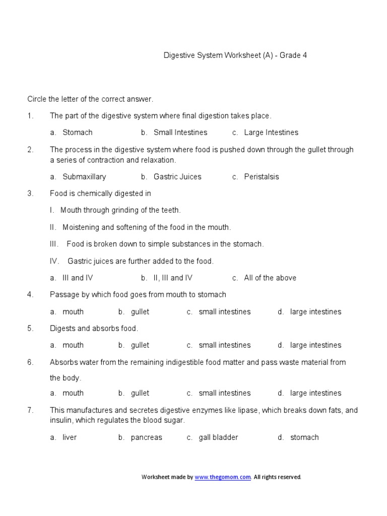 Digestive System Worksheet A Grade 4 | PDF | Human Digestive System ...