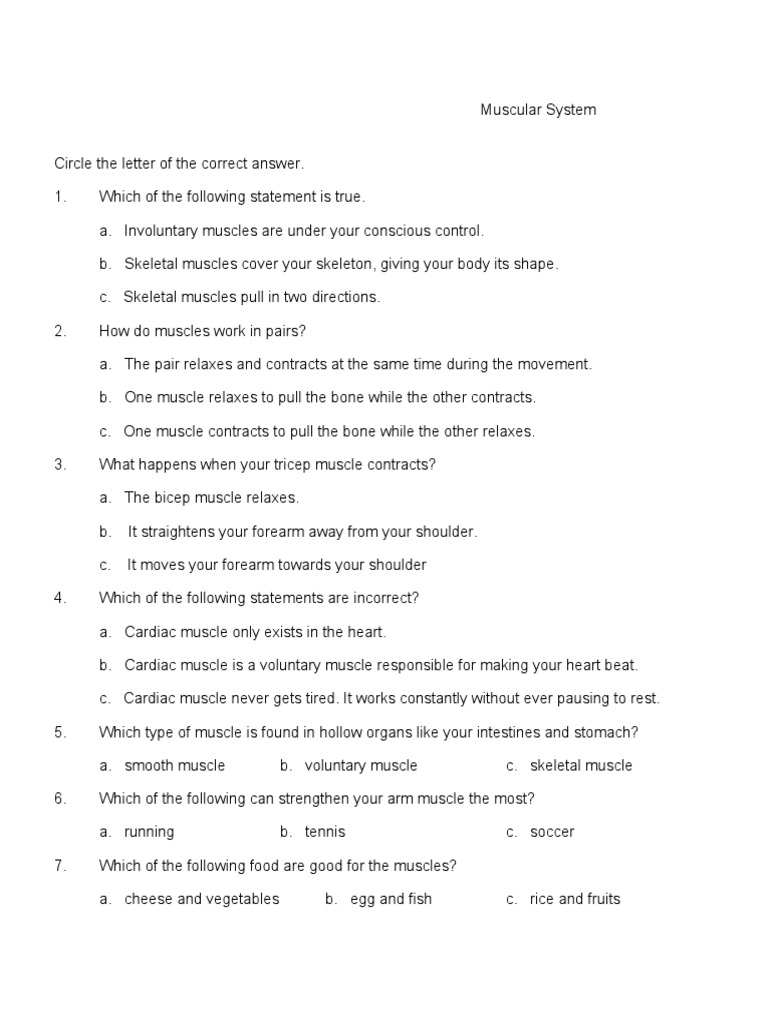 Muscular System Worksheet for Grade 4 | PDF | Muscle | Skeleton