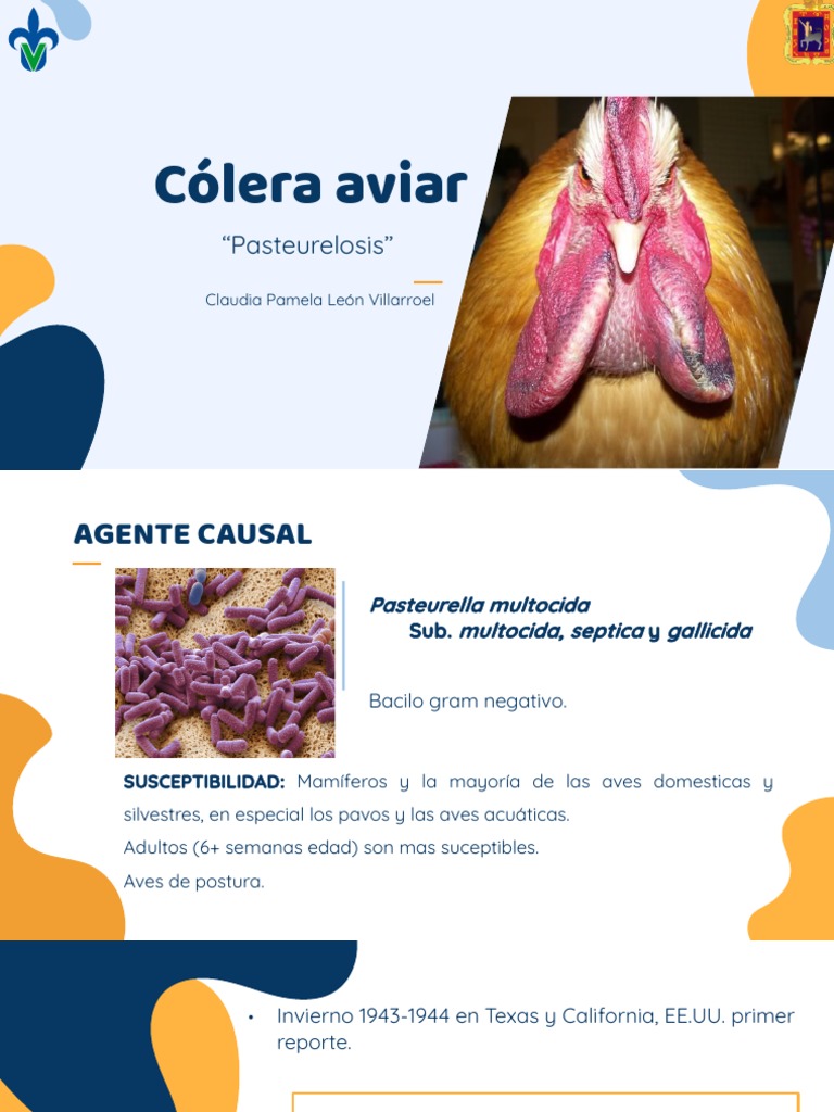 Colera Aviar | PDF | Enfermedades y trastornos | Biología