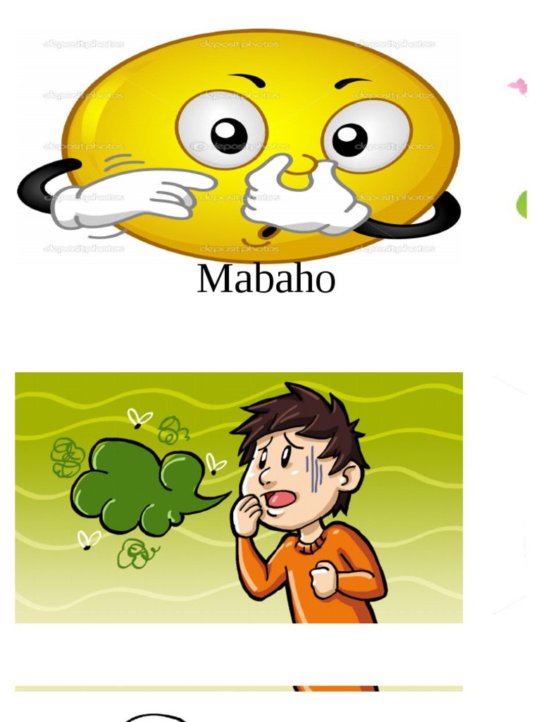 Things That Smells Good and Bad | PDF