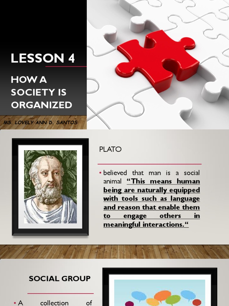 Lesson 4 How A Society Is Organized | PDF
