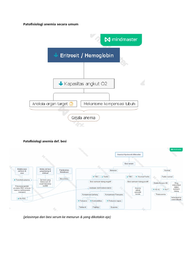 Patofisiologi Anemia | PDF