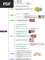 Tecnica de Gow-Gates | PDF | Cabeza y cuello humanos | Anatomía humana