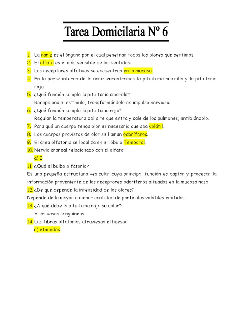 Anatomía y Función del Olfato | PDF