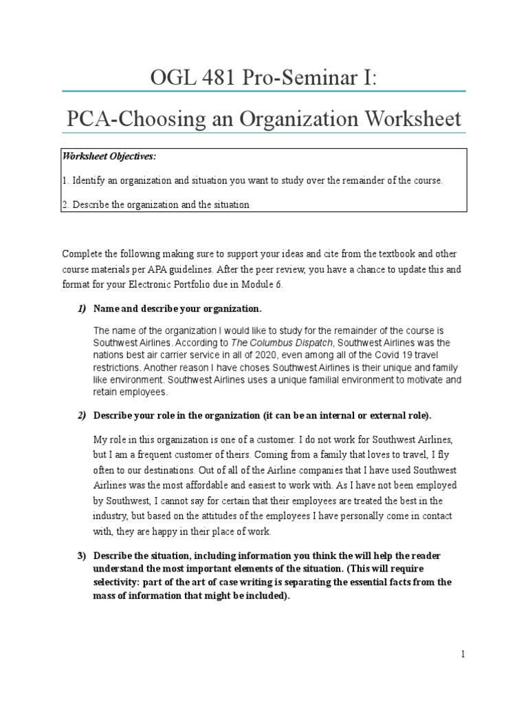 1 Choosing An Org Worksheet Ogl 481 | PDF | Airlines | Communication