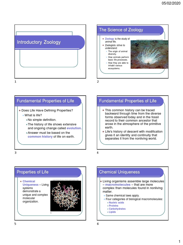 Introductory Zoology: The Science of Zoology | PDF | Heredity | Life