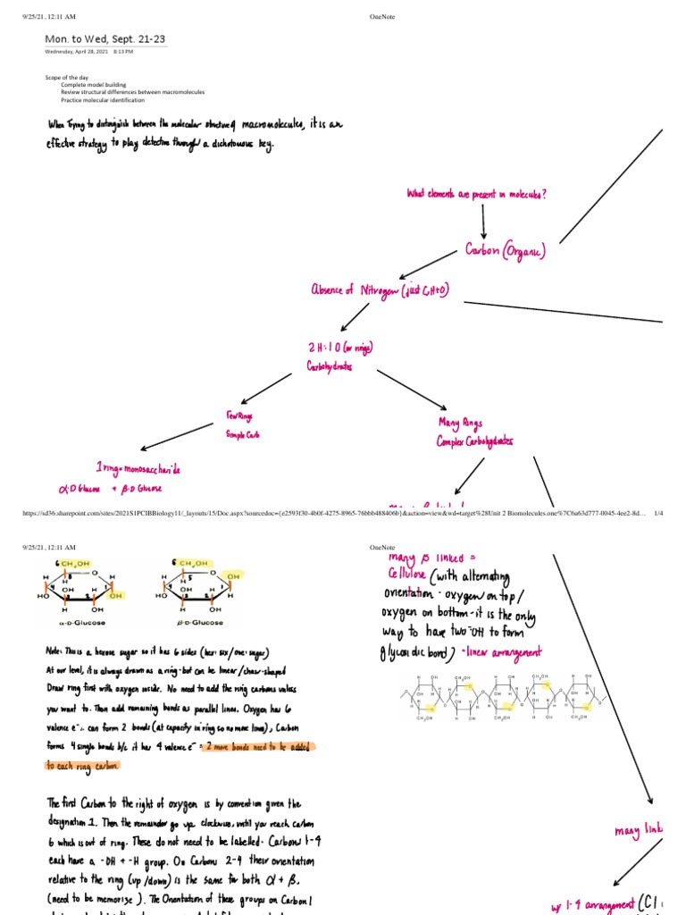 2021 S1PC IB Biology 11 Notebook 4 | PDF | Technology & Engineering