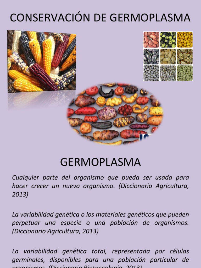 GERMOPLASMA | PDF | Ciencias de la vida | Organismos