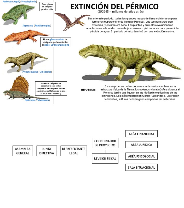 Extinción Masiva del Pérmico-Triásico | PDF | Naturaleza