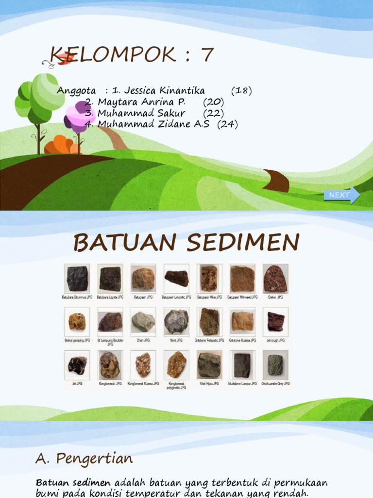 Batuan Sedimen | PDF
